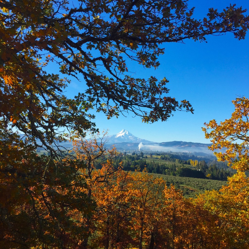 Friday Favorites: Breakfast With a View & Dolly Parton with a Mohawk ...
